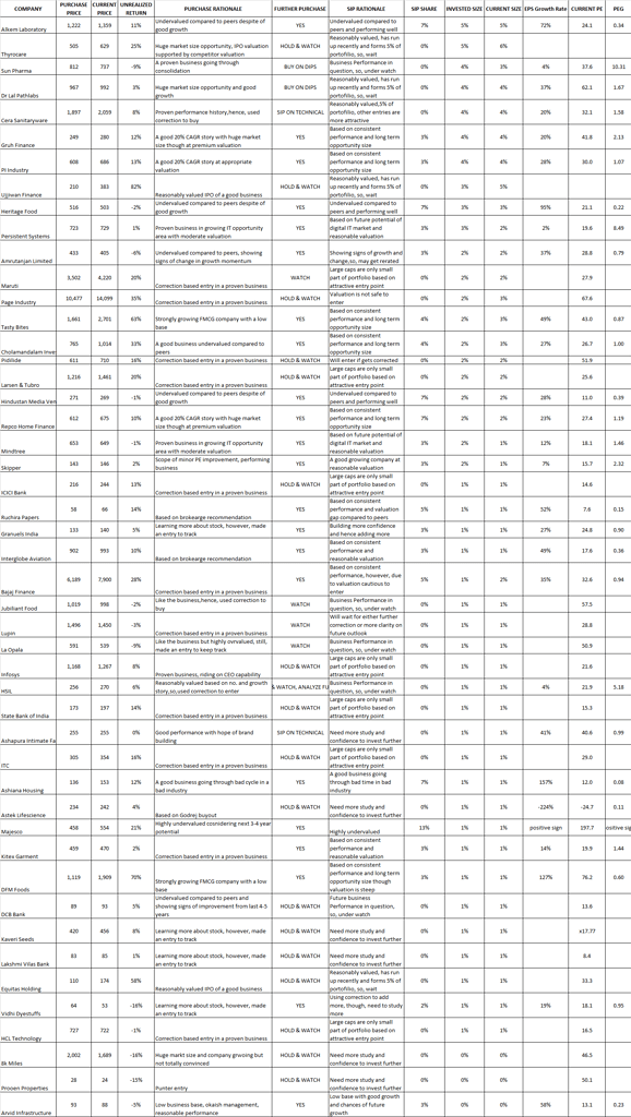 Saurabh Portfolio For 20 Expected Return Portfolio Qanda Valuepickr